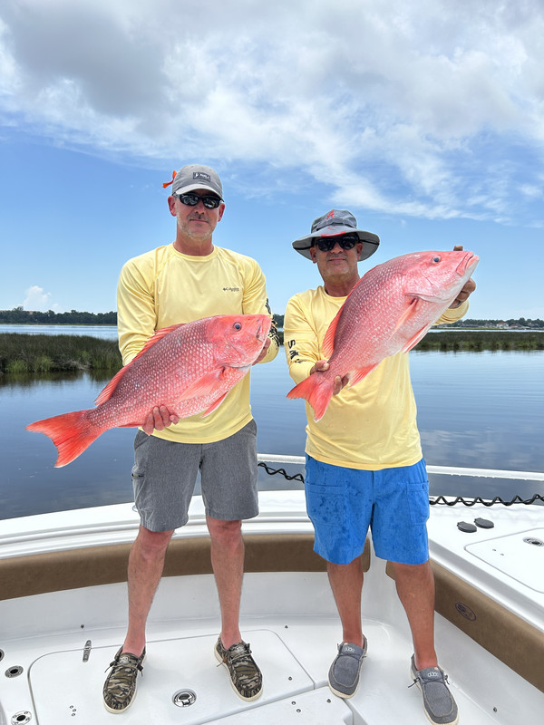 IMG 3696 — Postimages