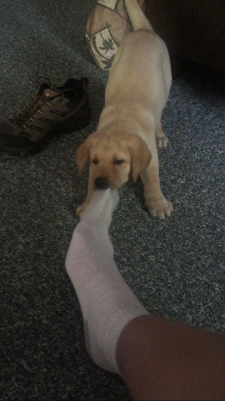 C4 C18 C83 381 B 408 C BE86 8 E4395 A525 FB — Postimages