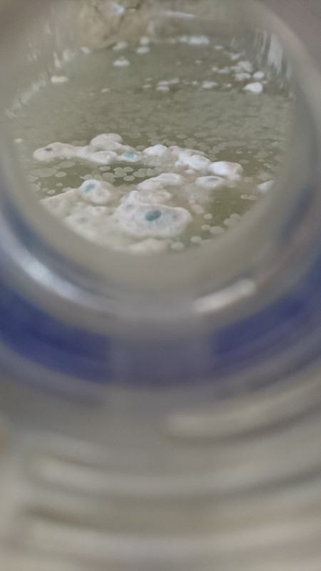 DSC 0557[1] — Postimages