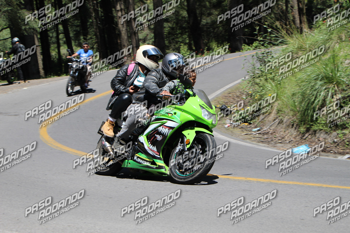 IMG 8210 wm 24476574 7 watermarked — Postimages