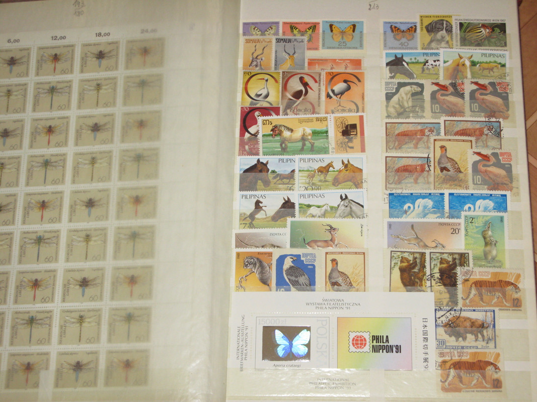 IMG 3432 — Postimages