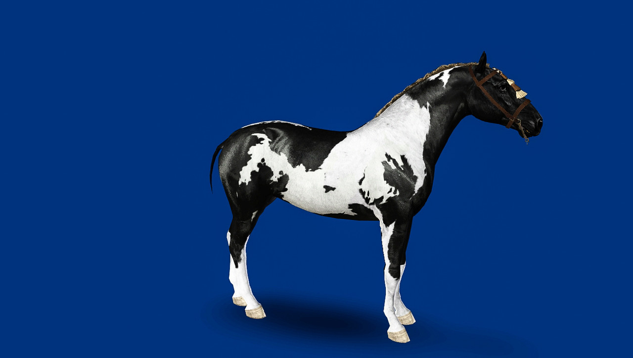 Screenshot 79 — Postimages