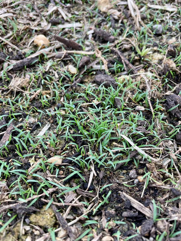 Microsoft Teams image — Postimages