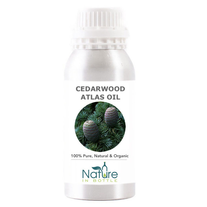 Atlas Cedarwood Essential Oil Organic - Cedrus Atlantica