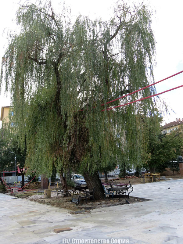 batch IMG 0273 — Postimages