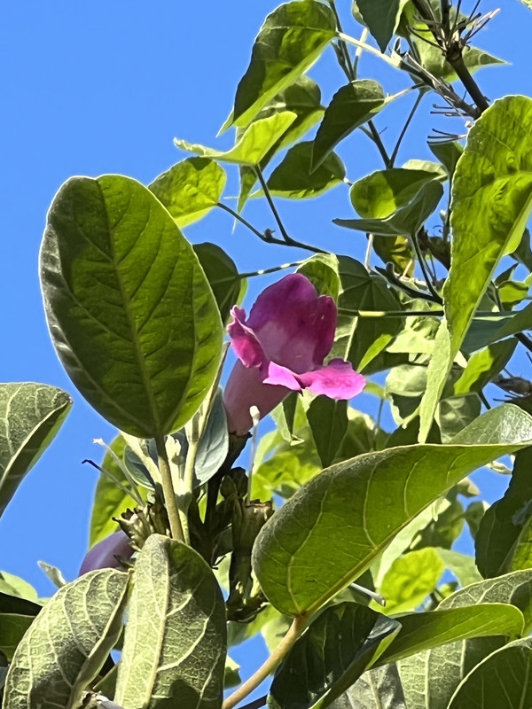 IMG 3941 — Postimages