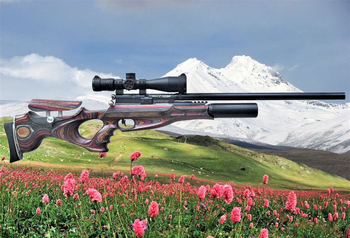 Laminated stock with hamster for BSA R10 MK2 | AirGun Forums the best ...