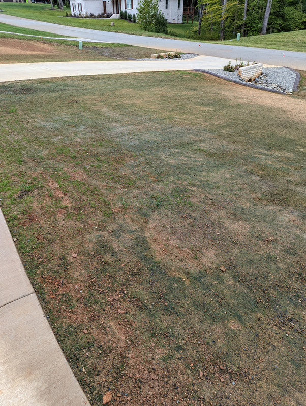 Mold!!! | Lawn Care Forum