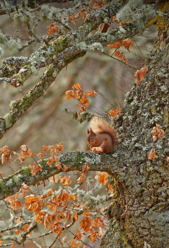 Screenshot 20231126 212505 Pinterest — Postimages