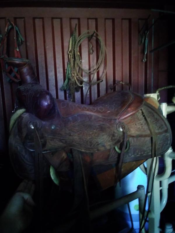 IMG 0173 — Postimages