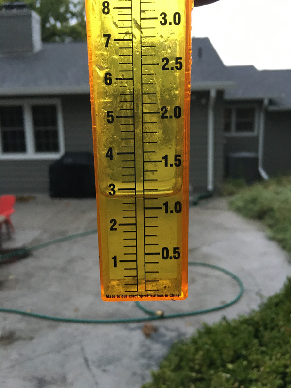 IMG 7181 — Postimages