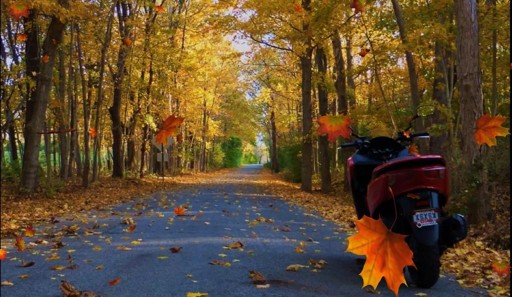 Modern Vespa : Fall hazards.....