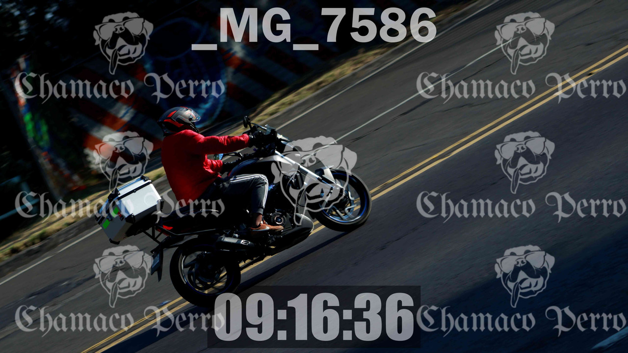 MUESTRA MG 7586 — Postimages