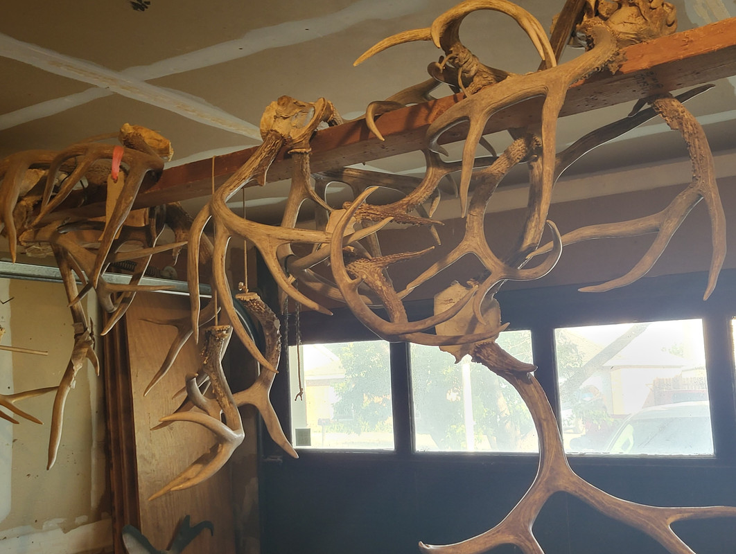 20240811 192555 2 — Postimages