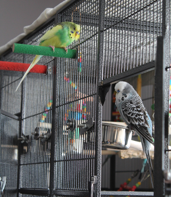 20230709170038 IMG 0357 — Postimages