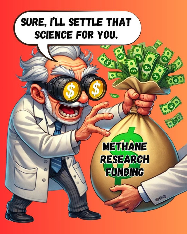 Do You Agree With These Memes?