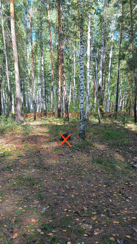 1000017827 — Postimages