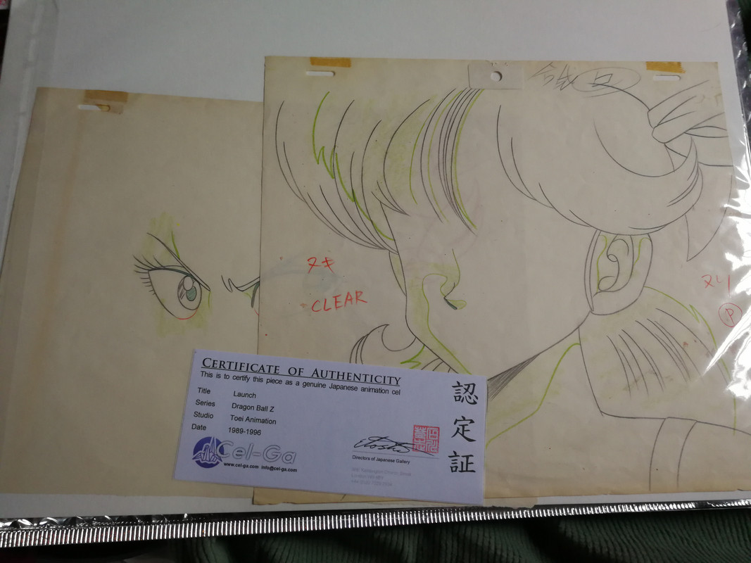 Help me identify this animation cel background. : r/dbz