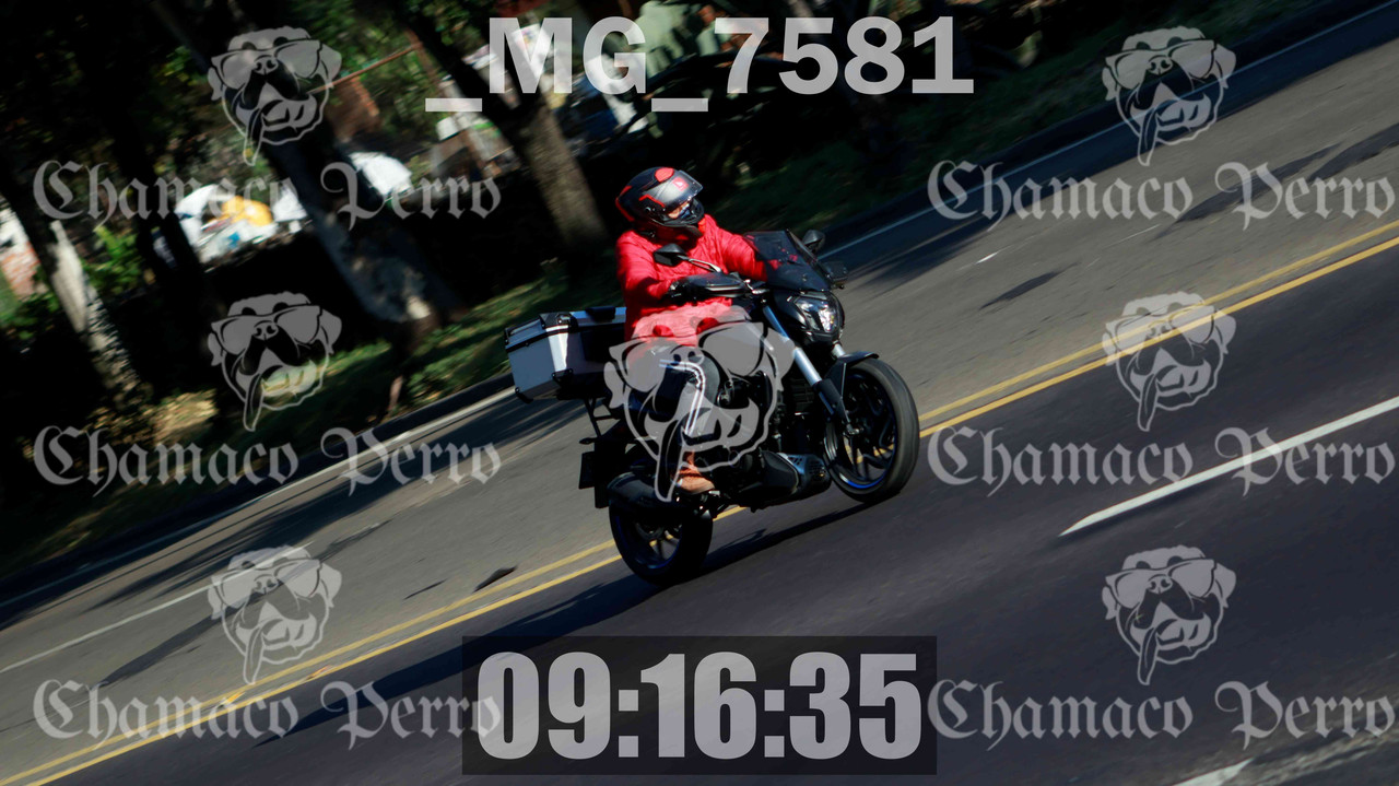 Album — Postimages