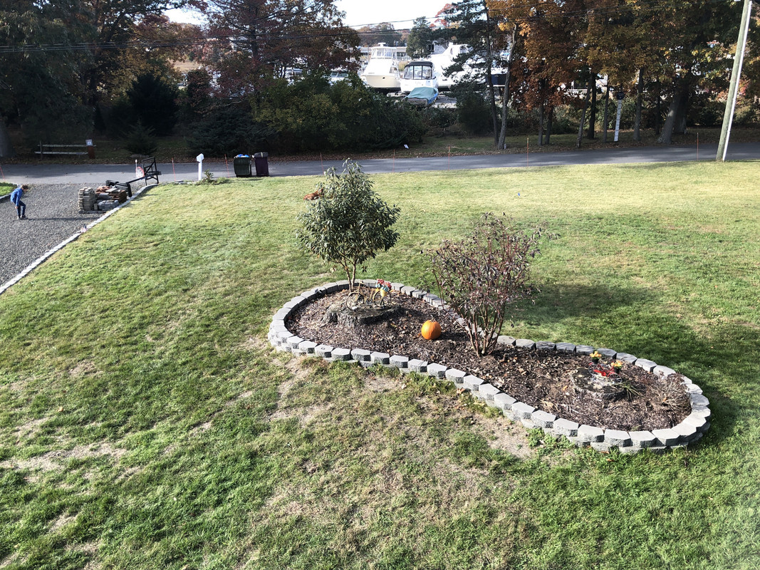 IMG 3729 — Postimages