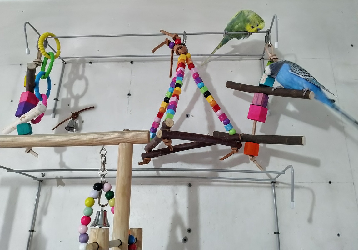 IMG 20231231 122826(1) — Postimages