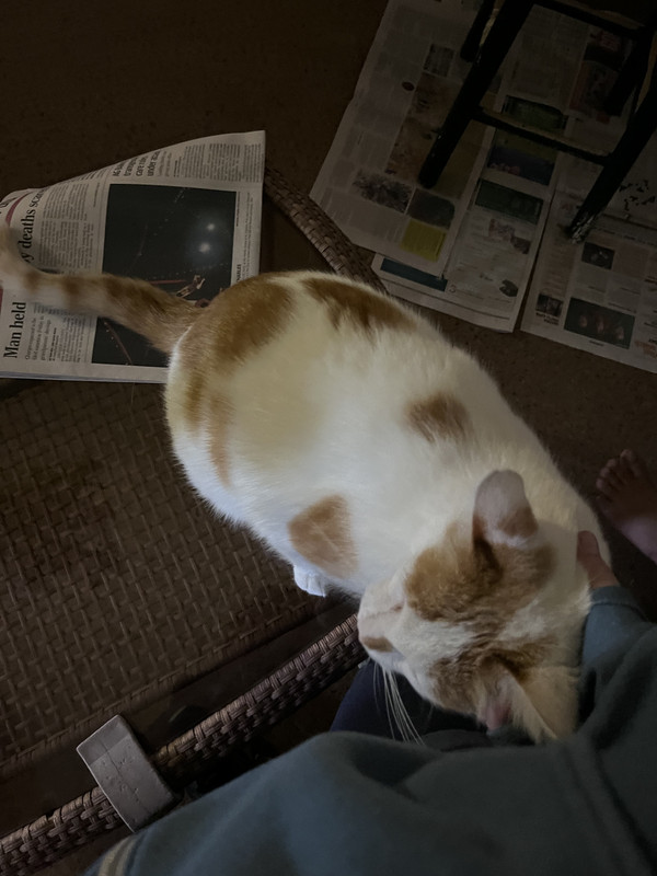 41929 DD1 A4 D0 42 EC 89 E7 8301 AA928 FD9 — Postimages