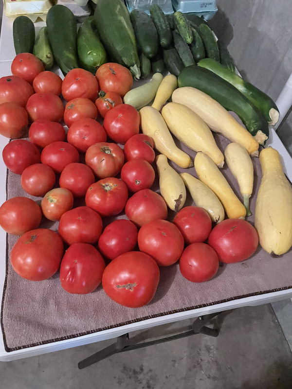 IMG 1386 — Postimages