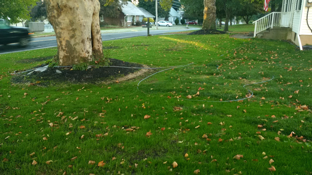 Front Yard Oct 19 from side — Postimages