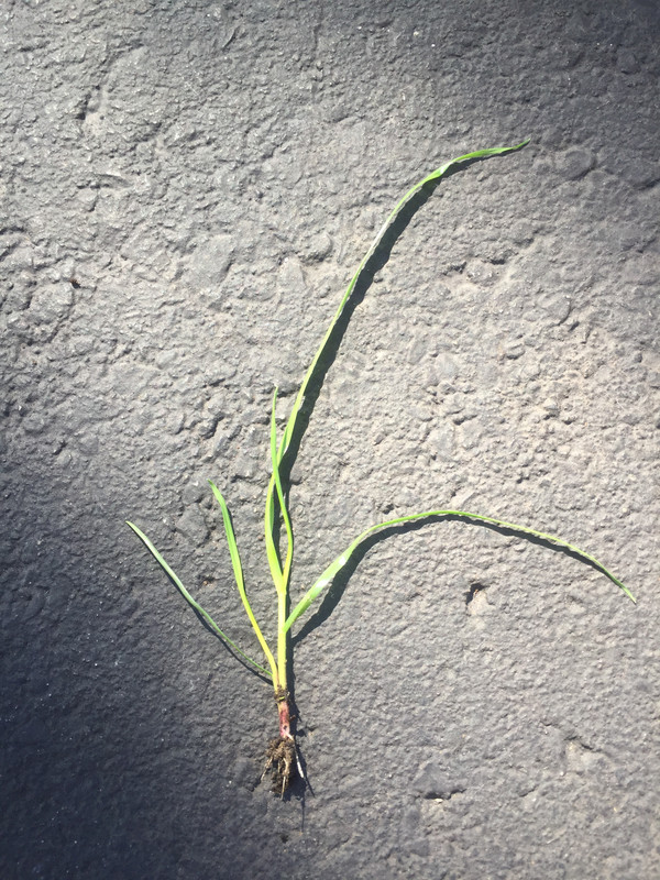 IMG 0367 — Postimages