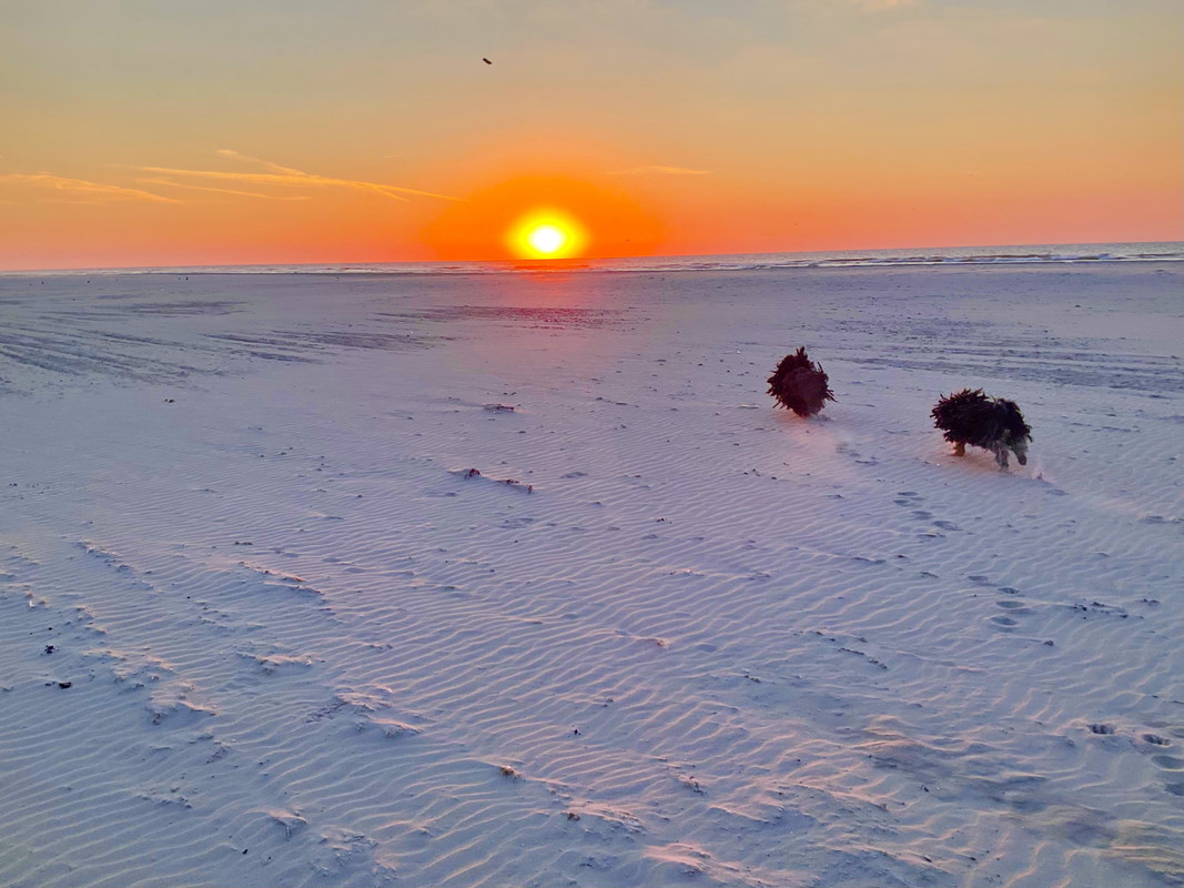 5 A0 A897 E 734 F 4 DA6 BC2 A 44387 B23 E2 E4 — Postimages