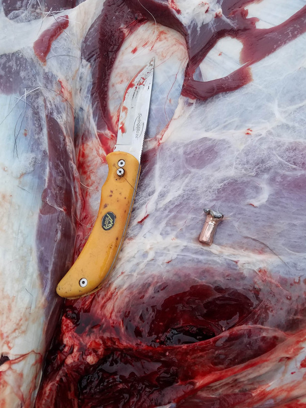 Flat based spitzer vs plastic tip or hollow point boat tail ...