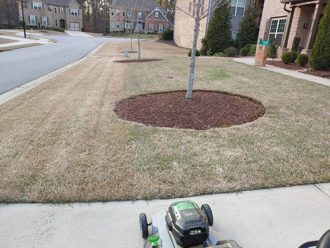 2020 front 03 1 — Postimages