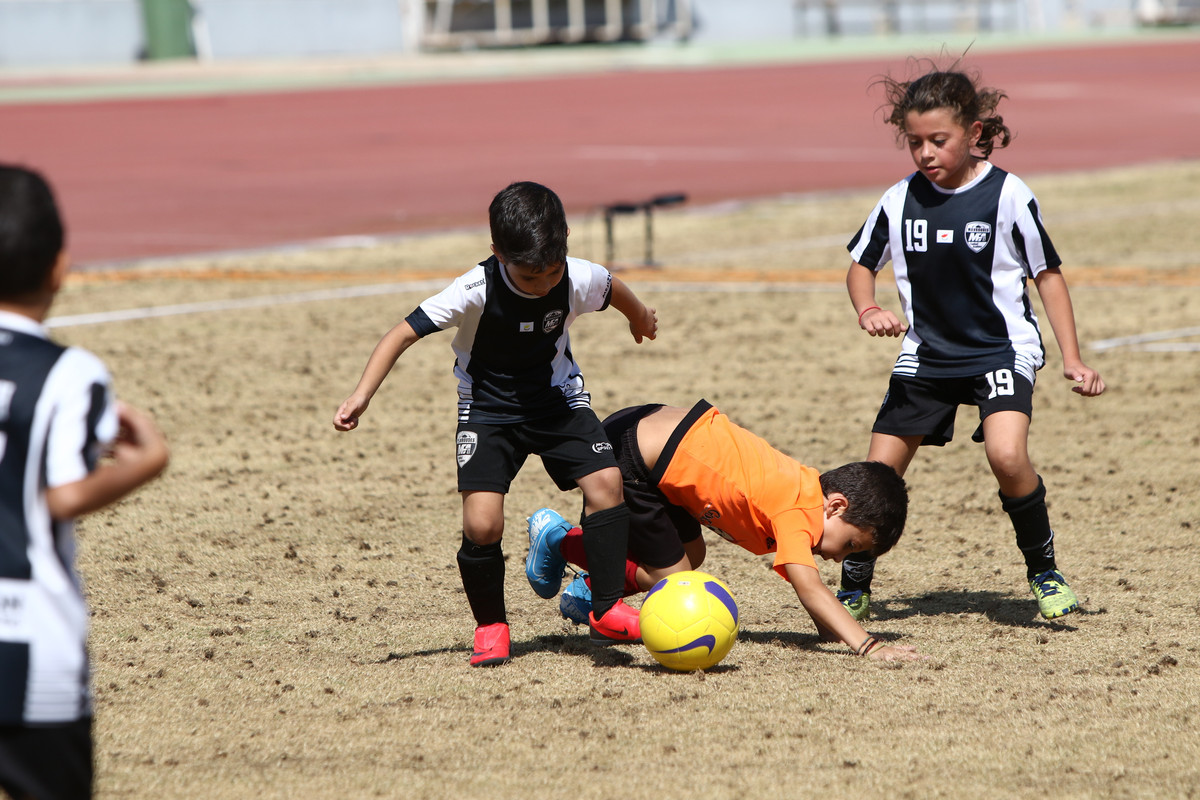 VIK 2244 — Postimages