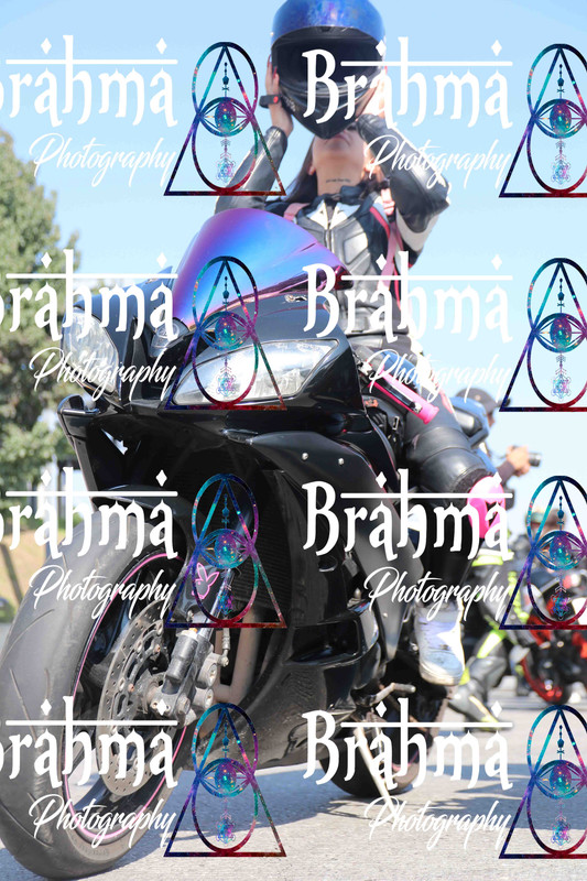 IMG 7102 — Postimages