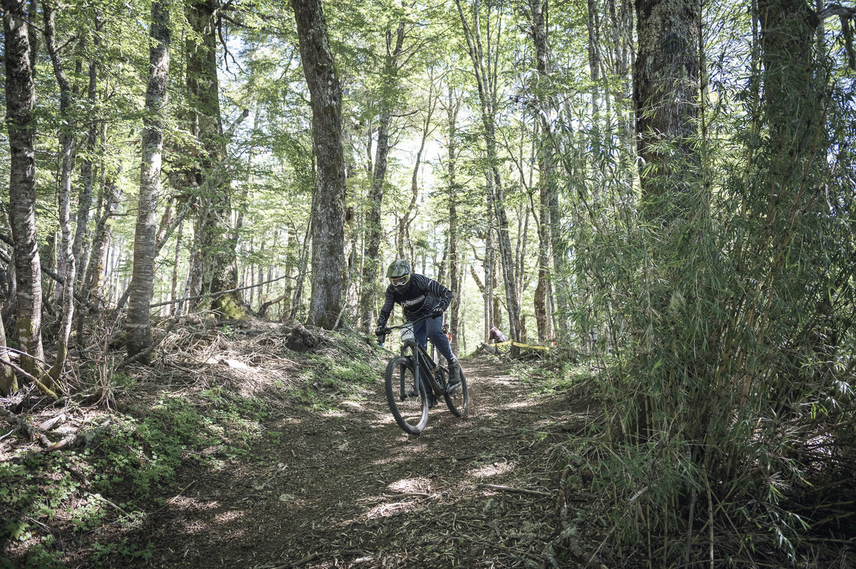 DSC4050 — Postimages