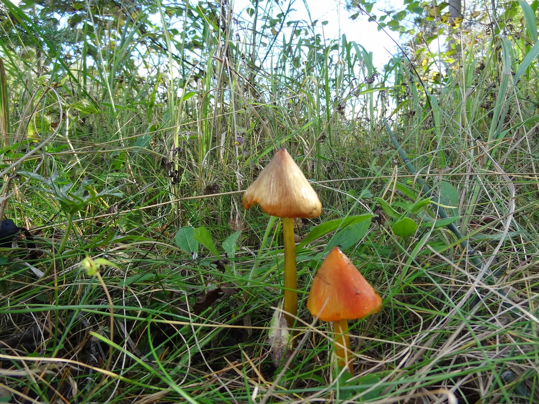 5 DSC09233 — Postimages