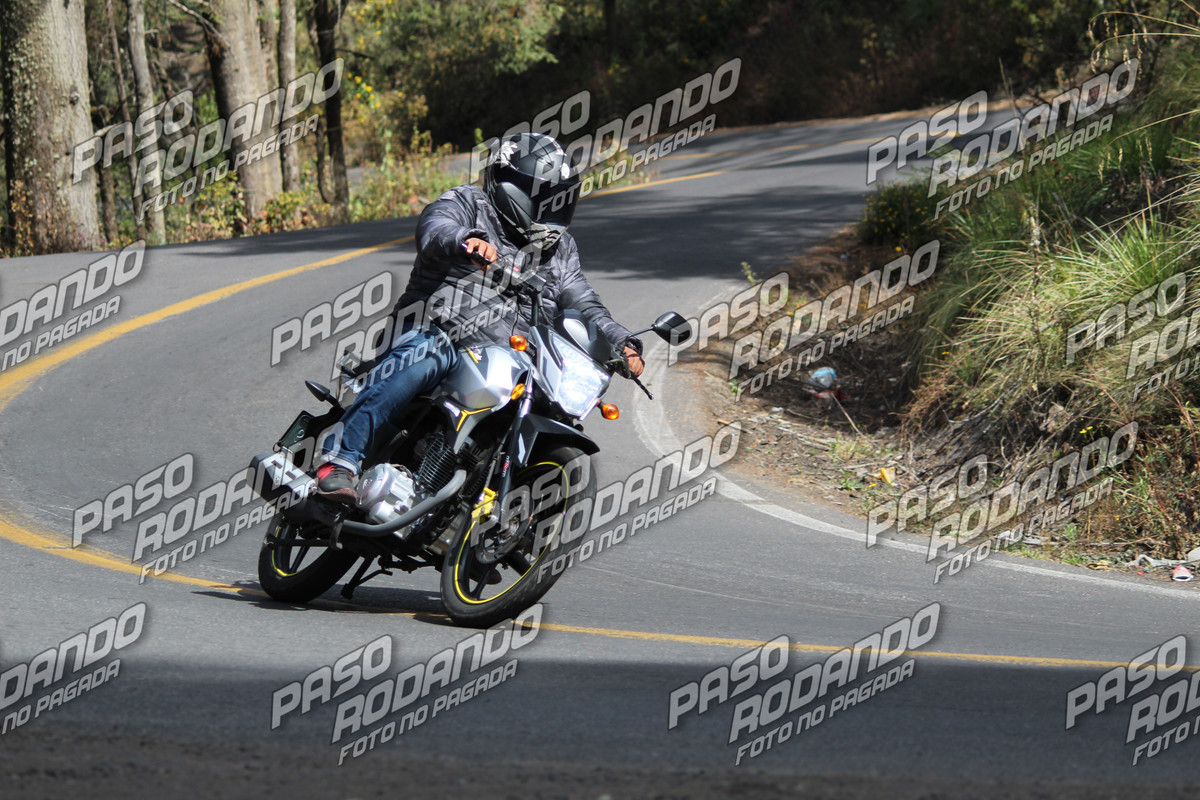 IMG 8017 wm 4245564 1 watermarked — Postimages