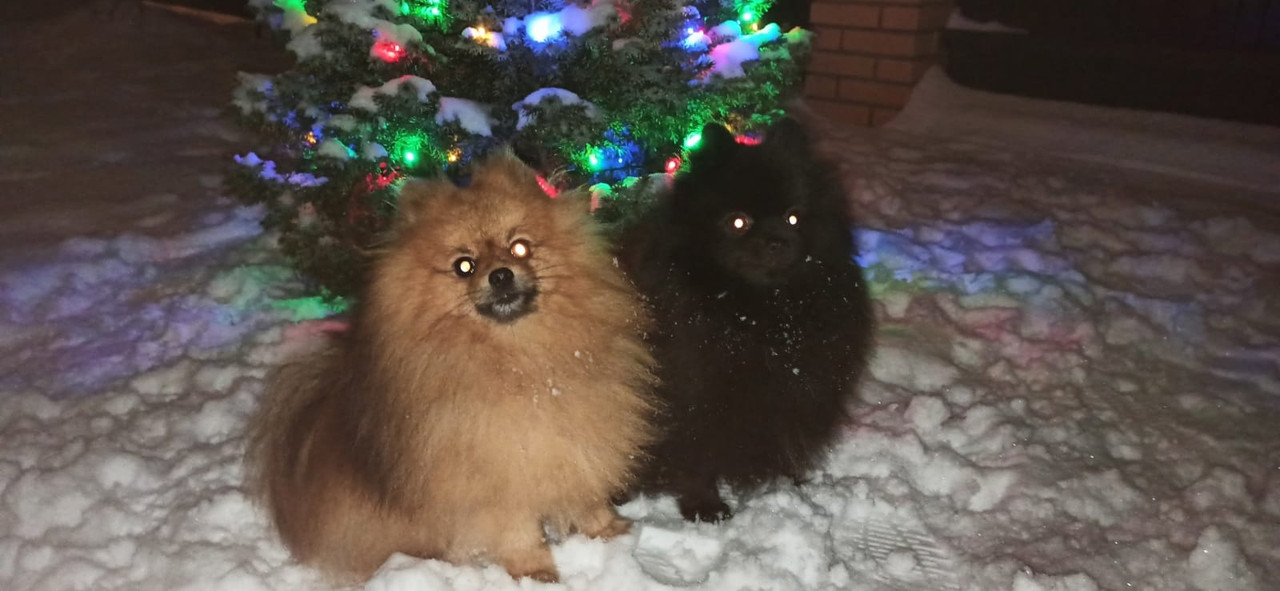 rzwb0lllj Gk — Postimages