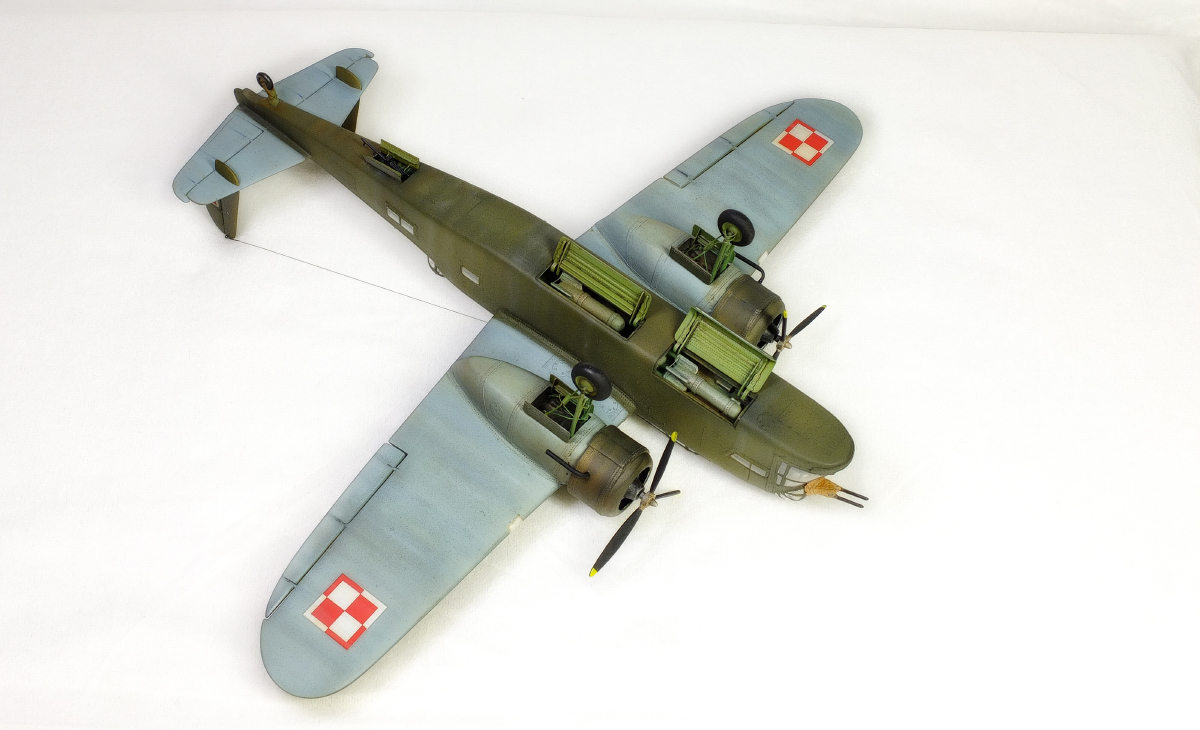 LWS-6 ZUBR - Ready for Inspection - Aircraft - Britmodeller.com