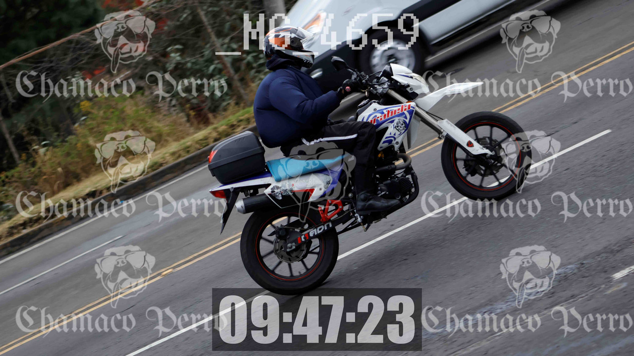 MUESTRA MG 4659 — Postimages