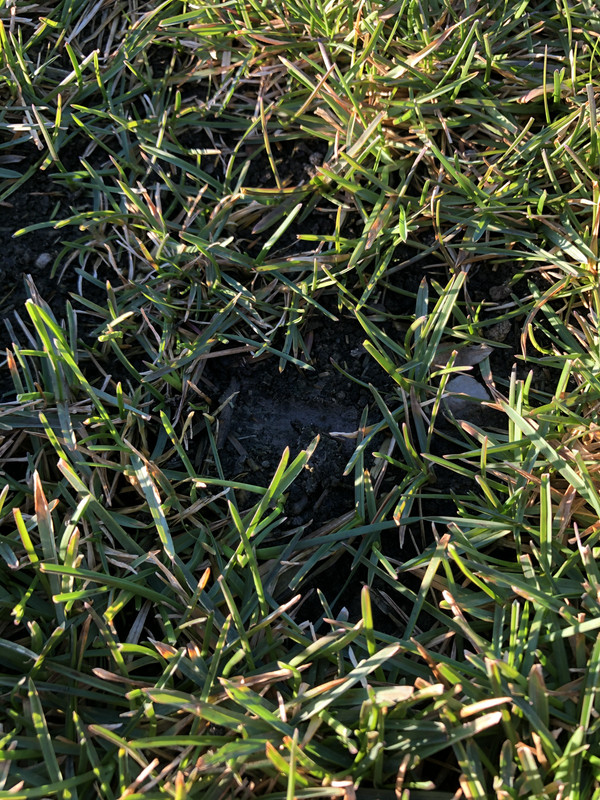 BF184824 5862 4304 ACA1 857 A0 E63 F029 — Postimages