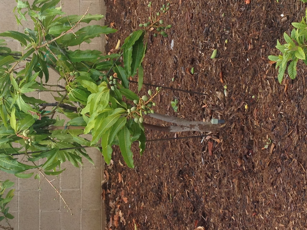 IMG 3436 — Postimages