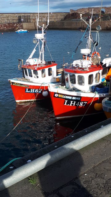 A wee boat in Dunbar | FollowFollow.com
