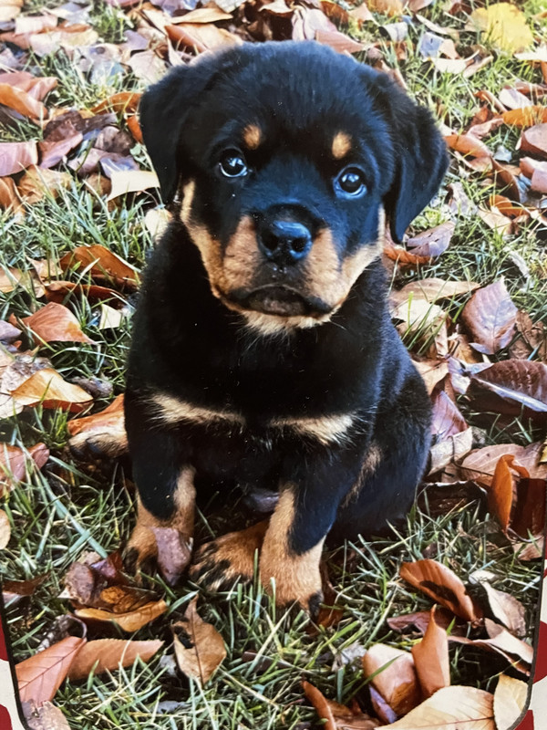 B00083 F2 0 BF7 46 C5 A61 C 85 A3 A0 FBF97 E — Postimages