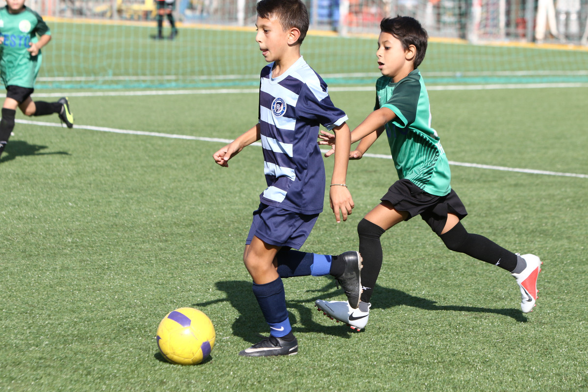 VIK 0081 — Postimages