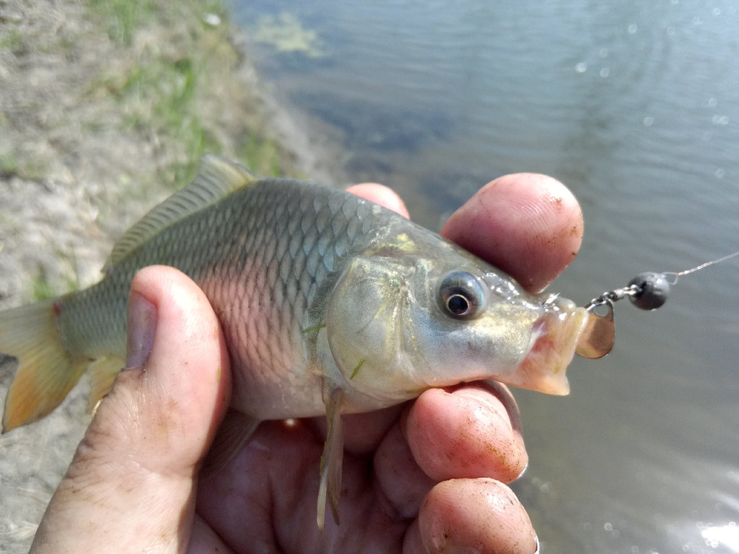 20180726 101648 — Postimages