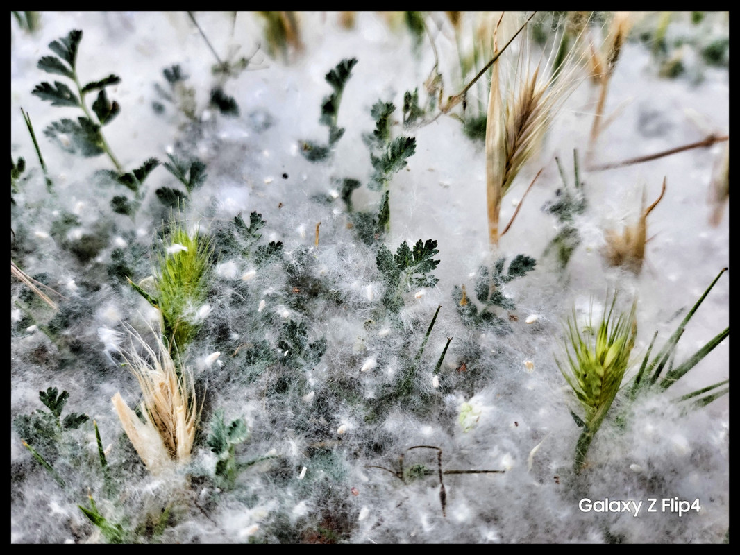 20230429 203220 01 — Postimages