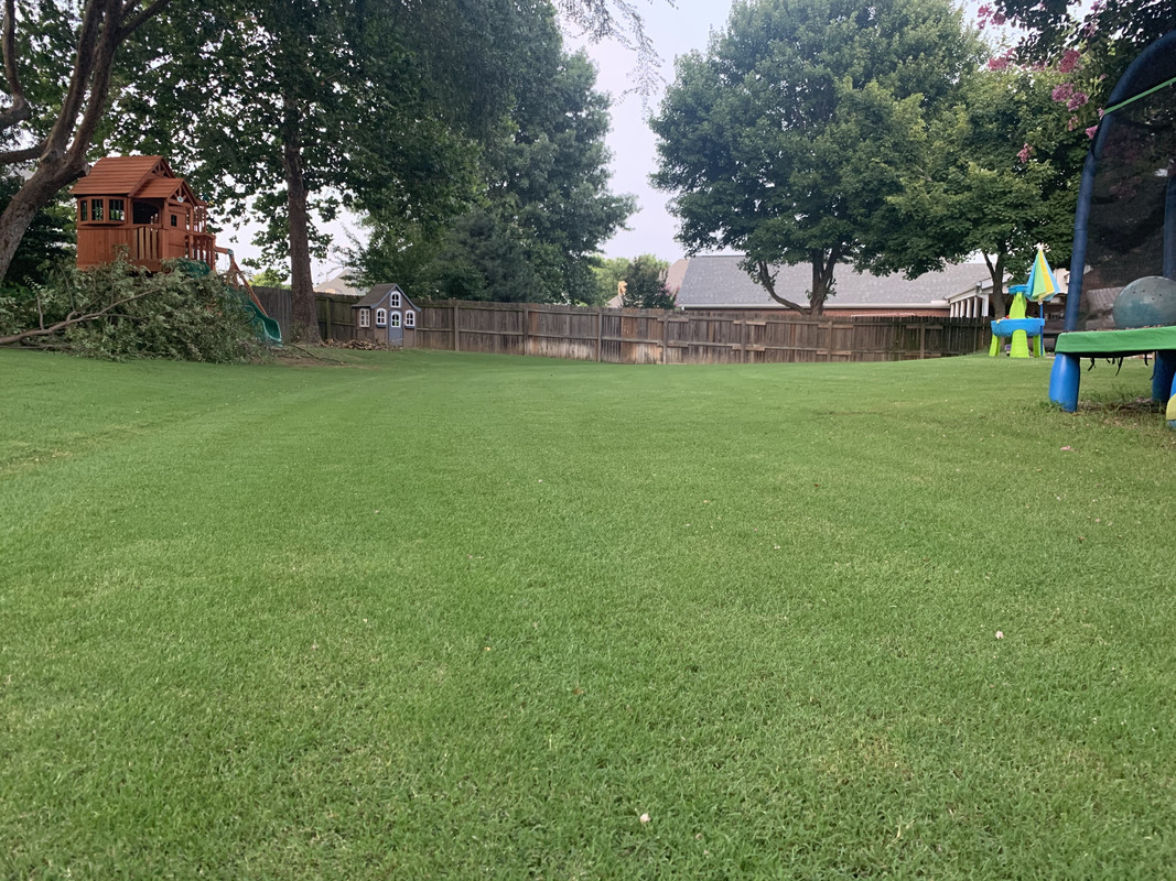 IMG 1981 — Postimages