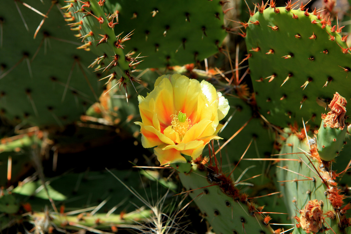 1 IMG 0656 001 — Postimages