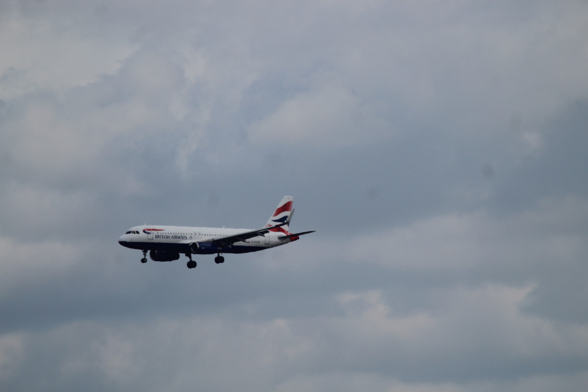 IMG 1358 — Postimages